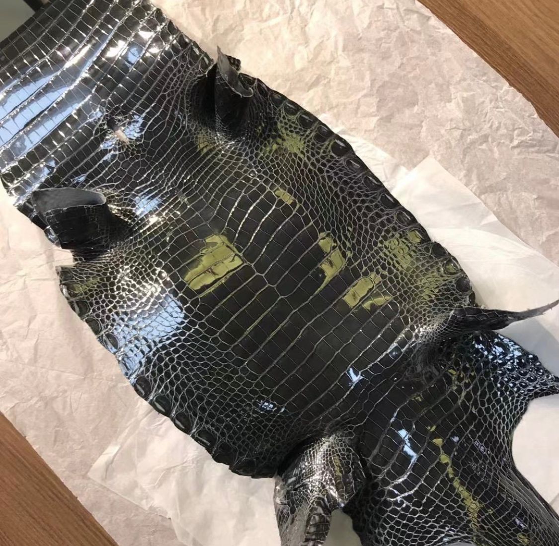 Glazed Finished Skins – Sunny Exotic Leathers