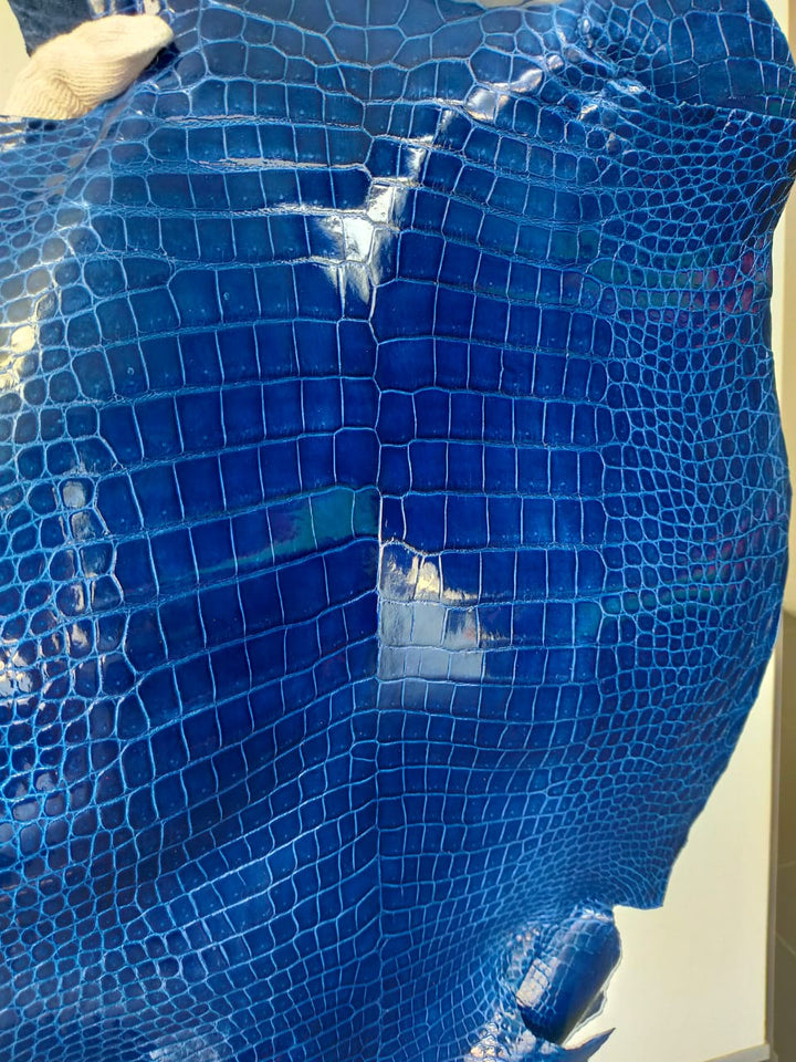 Sunny Exotic Leather Tannery - Luxury Crocodile, Python & Lizard Skins