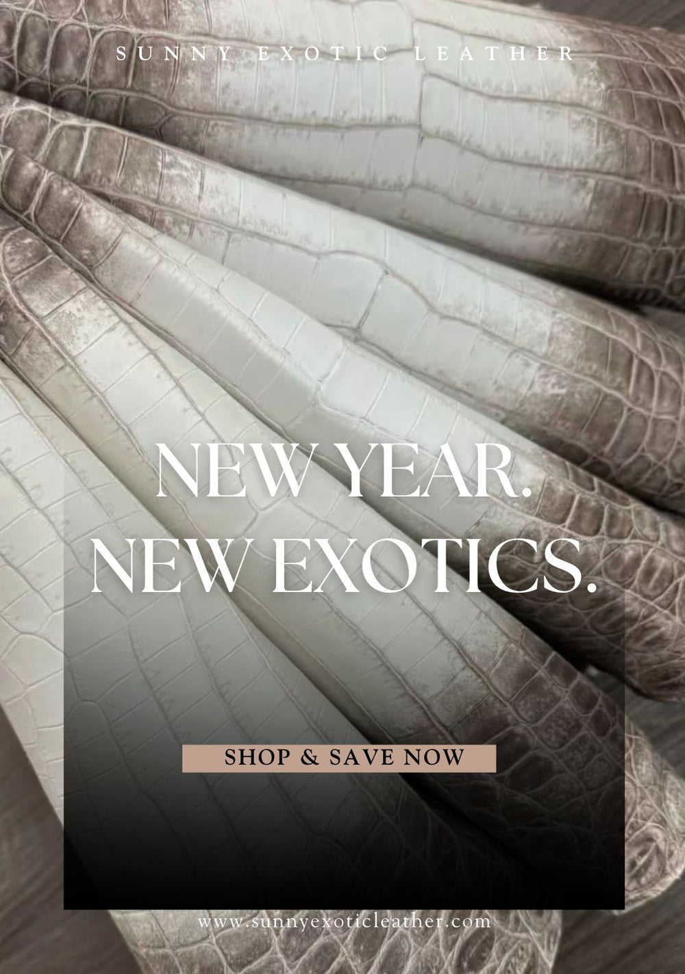 Sunny Exotic Leather Tannery - Luxury Crocodile, Python & Lizard Skins ...