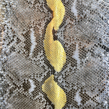 Hand-Painted Finished Skins – Sunny Exotic Leathers