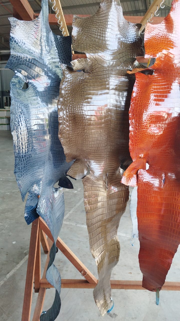 Porosus & Himalayan Crocodile Skins – Sunny Exotic Leathers