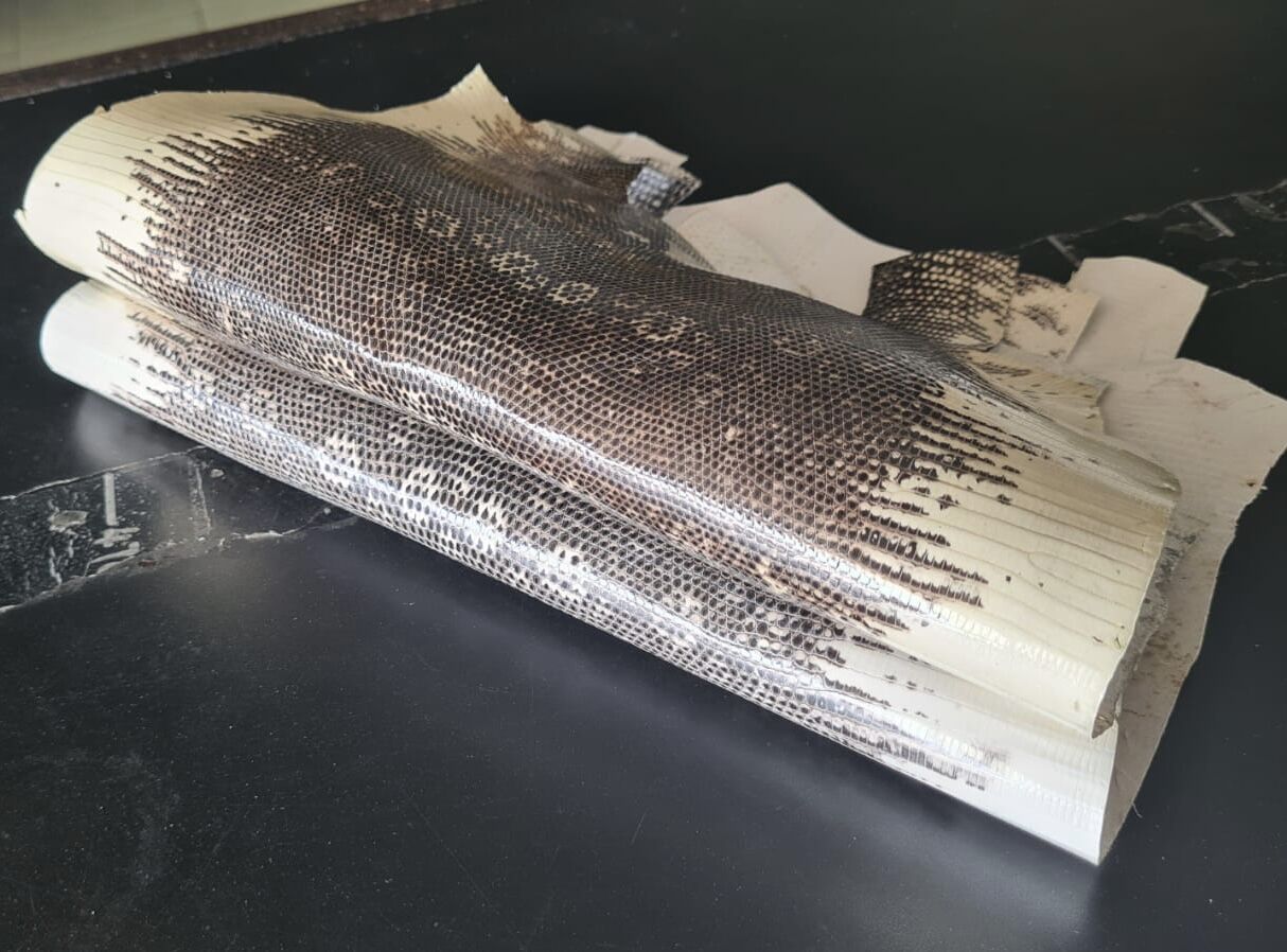 Lizard Skins – Sunny Exotic Leathers