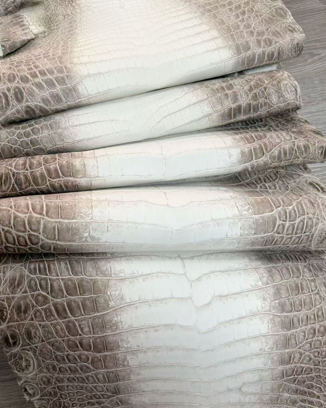 All You Need to Know About Exotic Crocodile Leather – Sunny Exotic ...