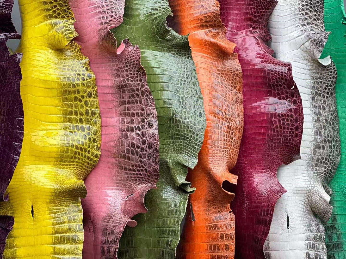 Sunny Exotic Leather Tannery - Luxury Crocodile, Python & Lizard Skins