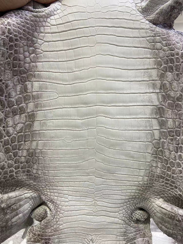 Sunny Exotic Leather Tannery - Luxury Crocodile, Python & Lizard Skins ...