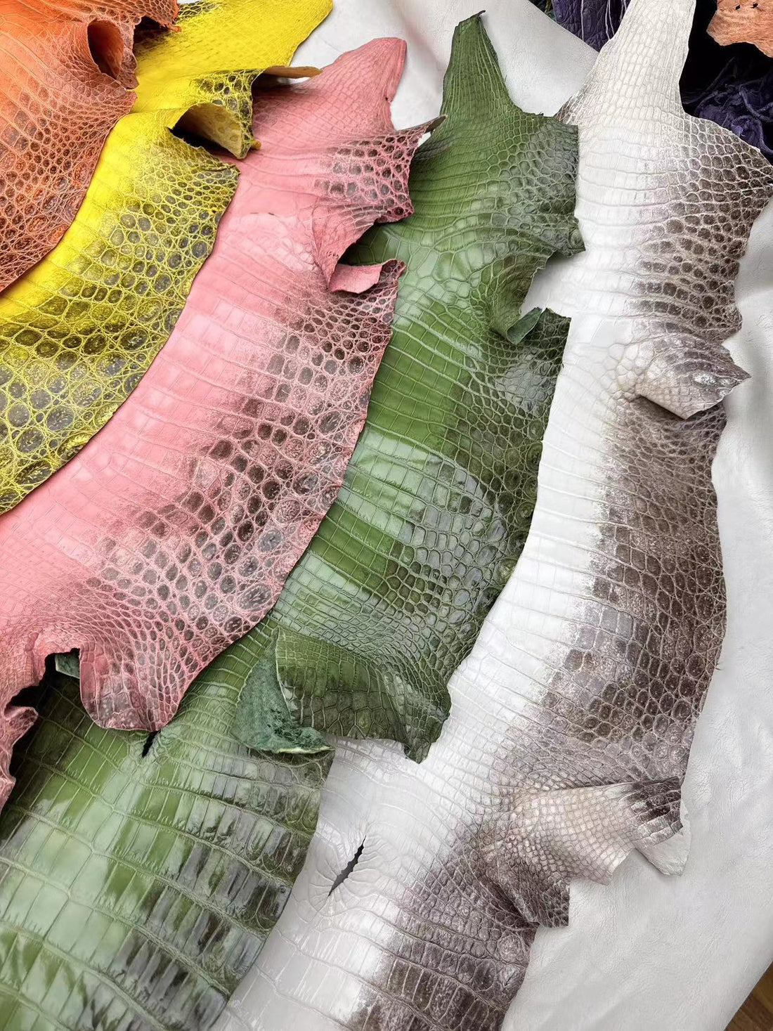 Sunny Exotic Leather Tannery - Luxury Crocodile, Python & Lizard Skins ...