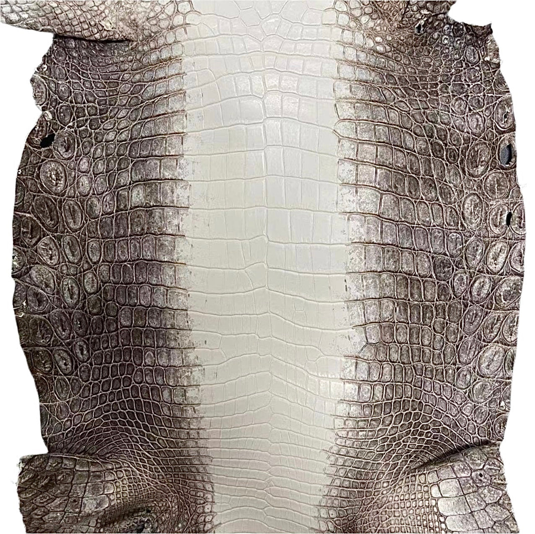 Sunny Exotic Leather Tannery - Luxury Crocodile, Python & Lizard Skins ...