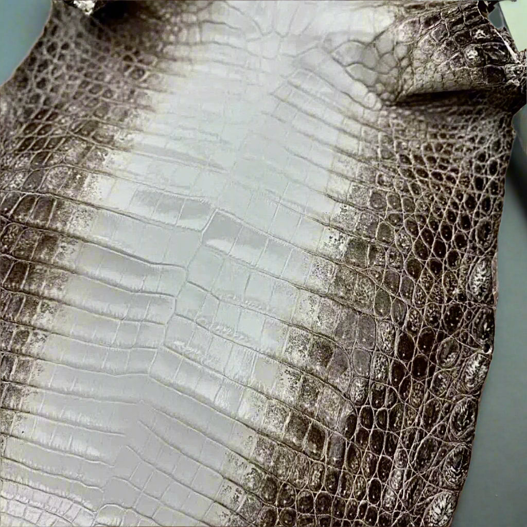 Sunny Exotic Leather Tannery - Luxury Crocodile, Python & Lizard Skins ...