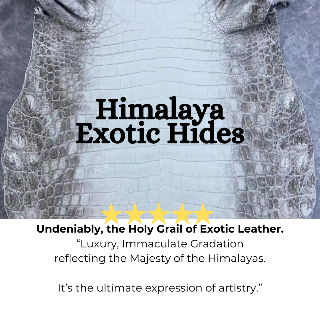 Himalayan Niloticus Crocodile Matte Finish