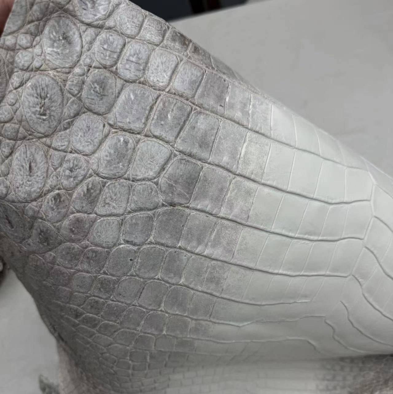 Himalayan Crocodile – Sunny Exotic Leathers