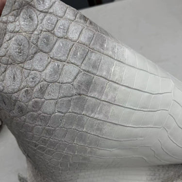 Sunny Exotic Leather Tannery - Luxury Crocodile, Python & Lizard Skins ...