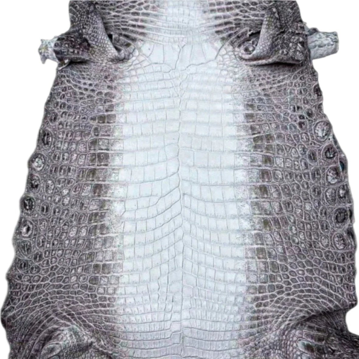 Himalayan Crocodile – Sunny Exotic Leathers