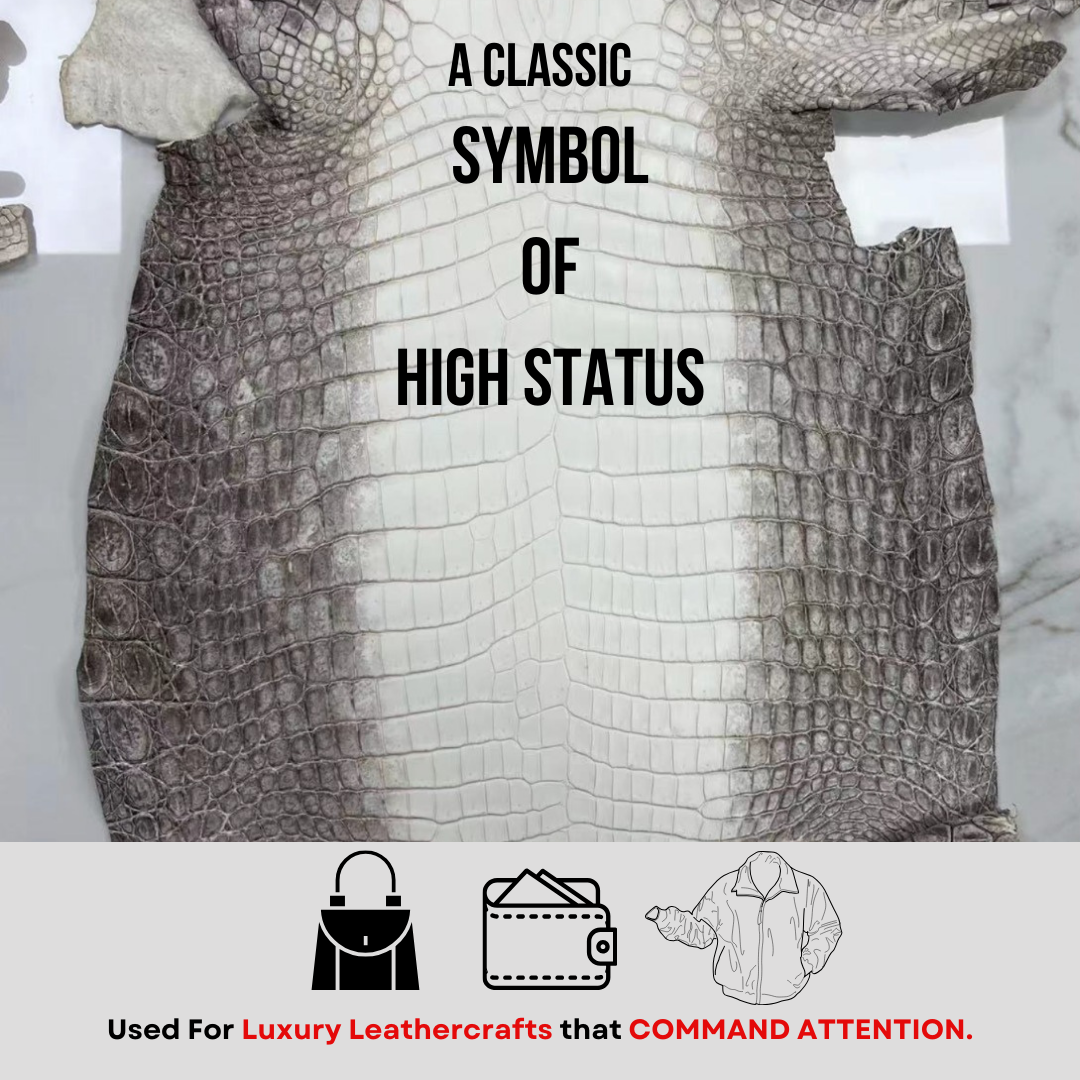 Himalayan Niloticus Crocodile Matte Finish