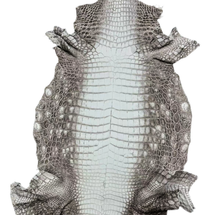 Himalayan Crocodile – Sunny Exotic Leathers