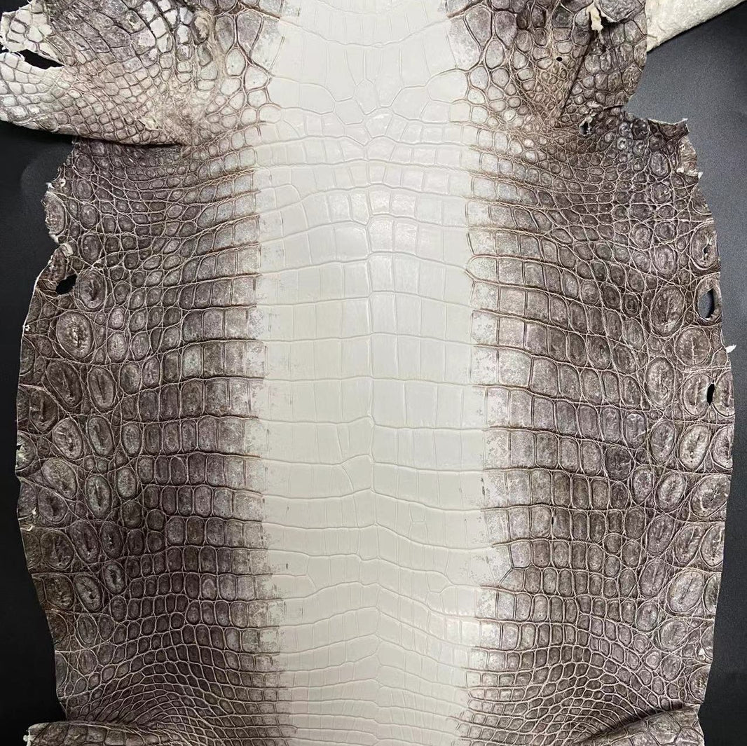 Sunny Exotic Leather Tannery - Luxury Crocodile, Python & Lizard Skins ...