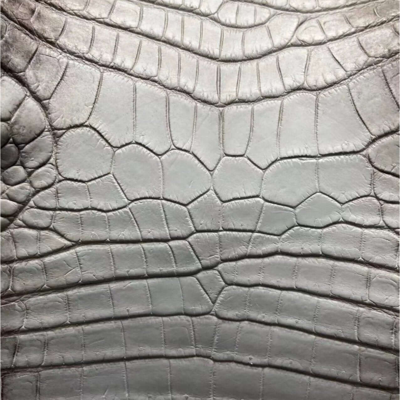 Himalayan Crocodile – Sunny Exotic Leathers