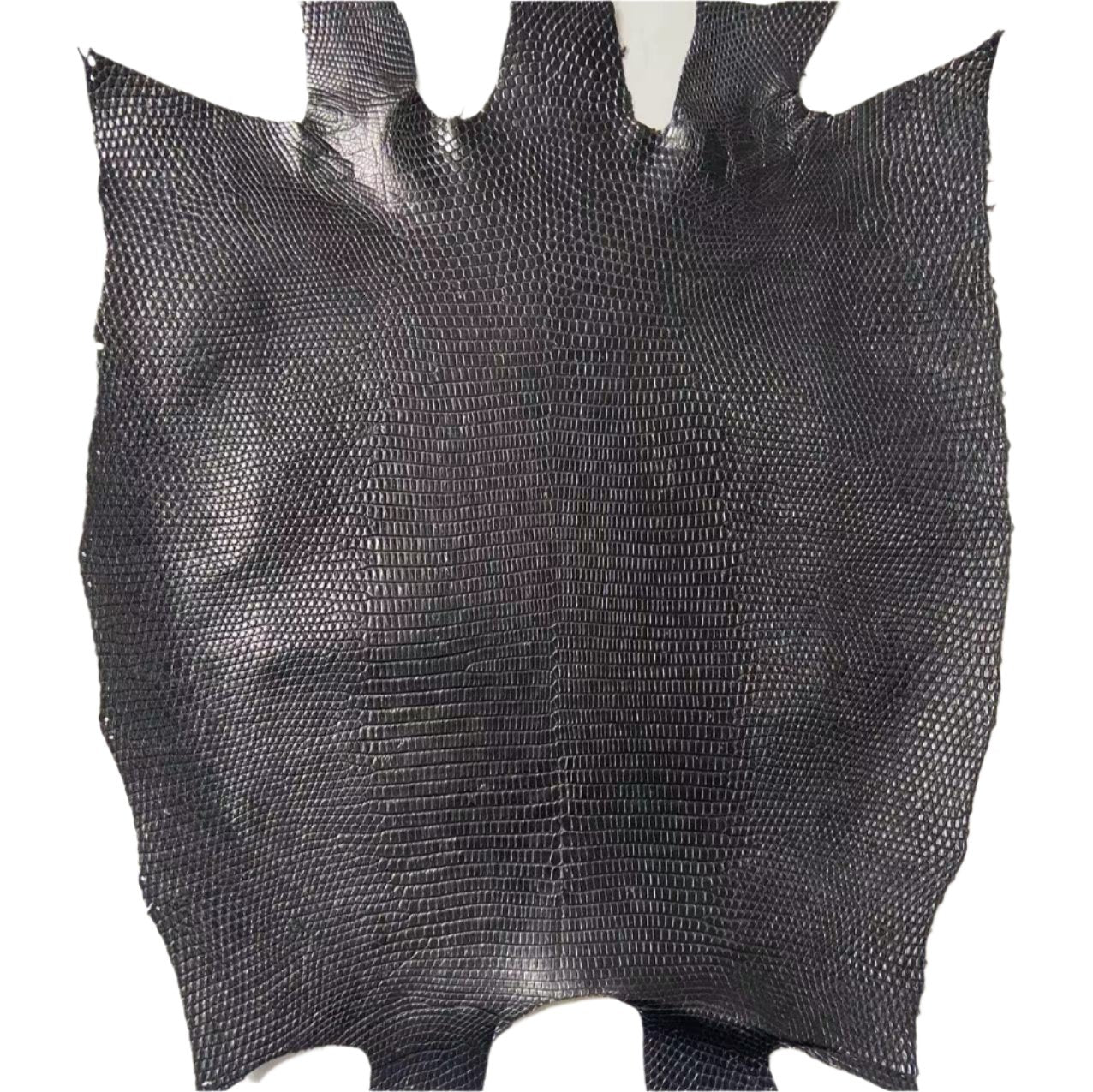Black Ring Lizard Skin – Sunny Exotic Leathers