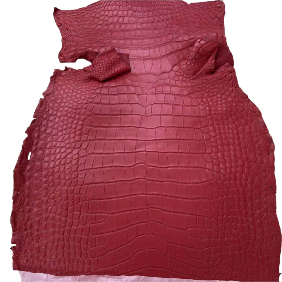 Sunny Exotic Leather Tannery - Luxury Crocodile, Python & Lizard Skins ...
