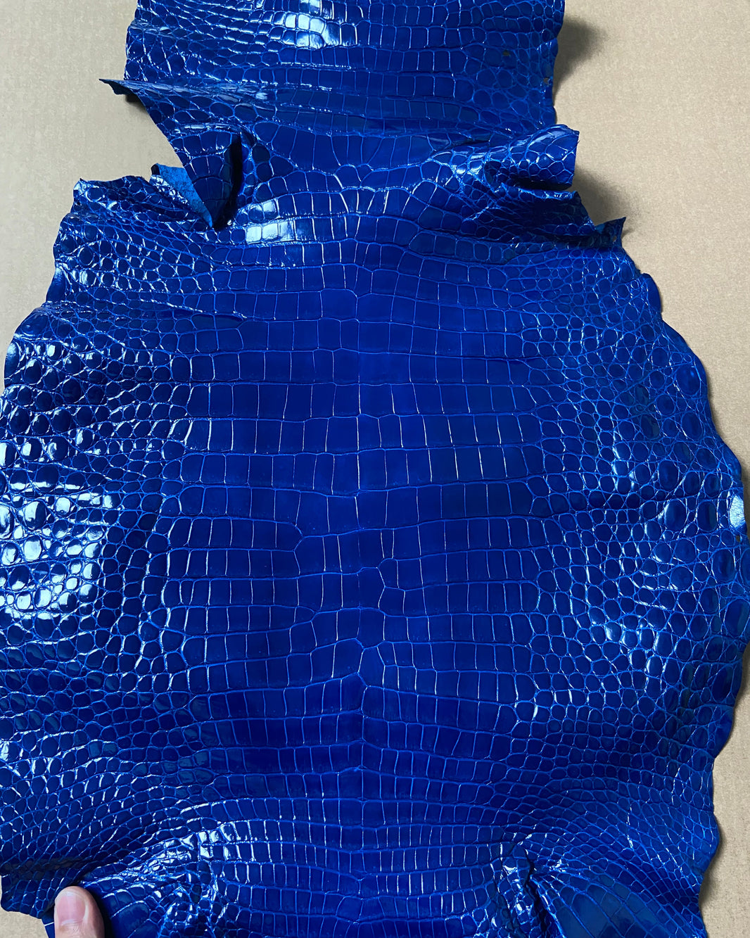 The Complete Guide to Ostrich Exotic Leather Finished Skins – Sunny ...