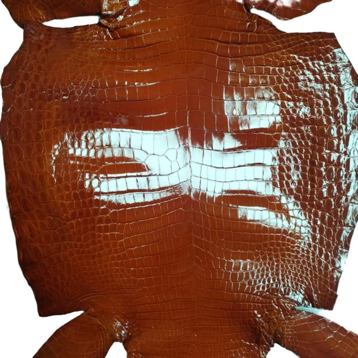 Sunny Exotic Leather Tannery - Luxury Crocodile, Python & Lizard Skins