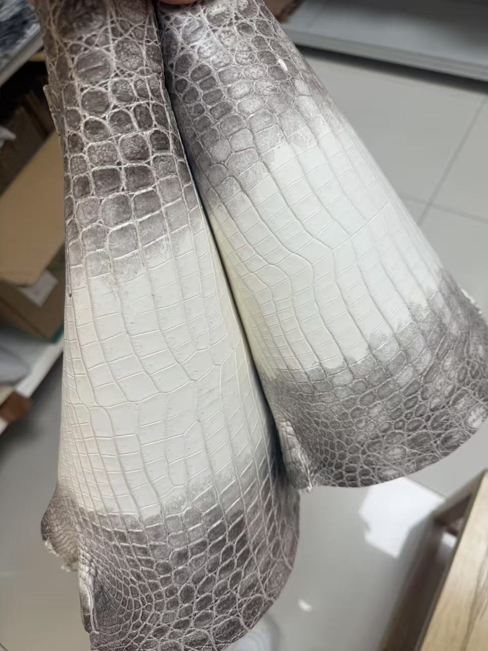 Sunny Exotic Leather Tannery - Luxury Crocodile, Python & Lizard Skins ...