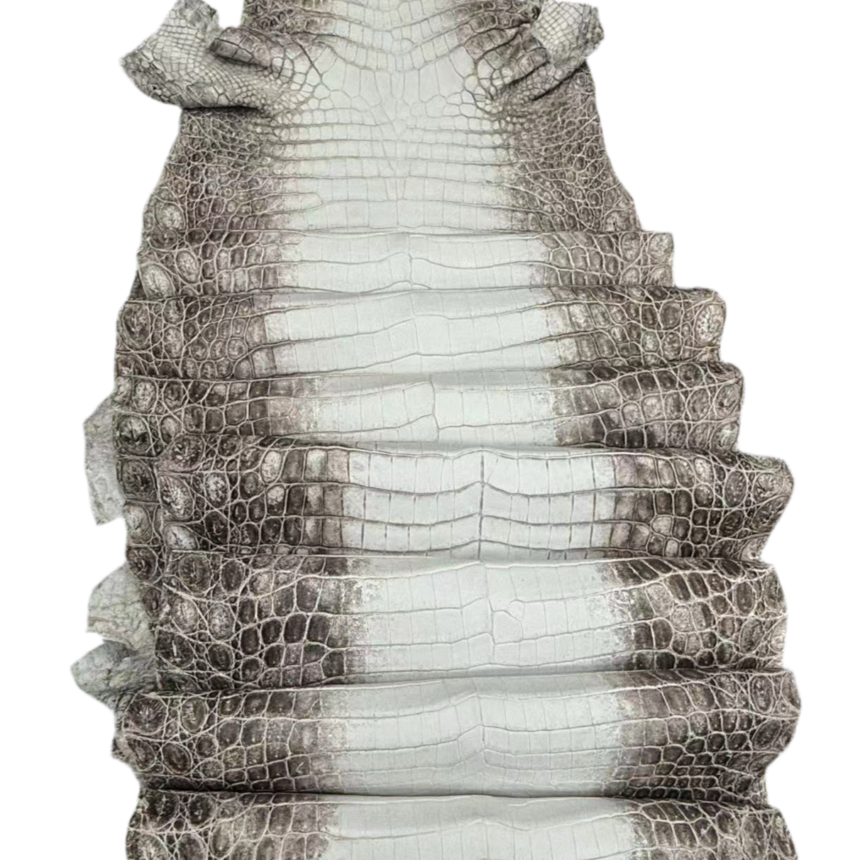 Himalayan Crocodile – Sunny Exotic Leathers