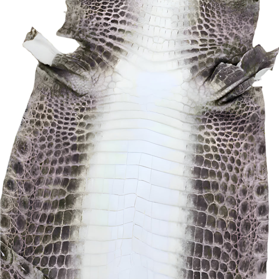 Alligator Skin: All You Need to Know – Sunny Exotic Leathers