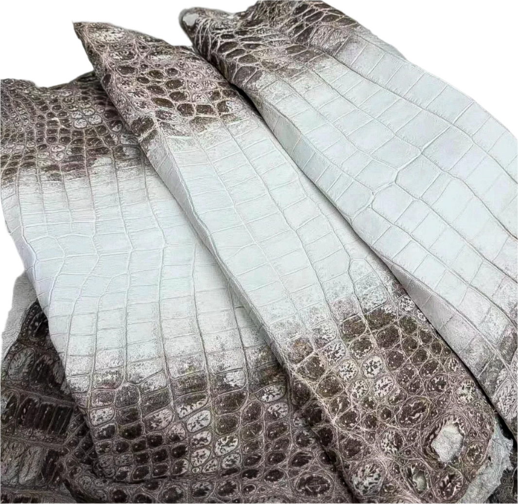 All You Need to Know About Exotic Crocodile Leather – Sunny Exotic Leathers