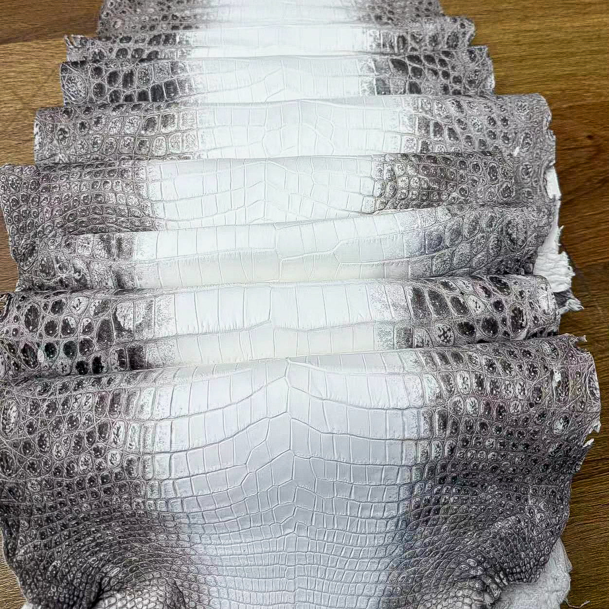 Sunny Exotic Leather Tannery - Luxury Crocodile, Python & Lizard Skins ...