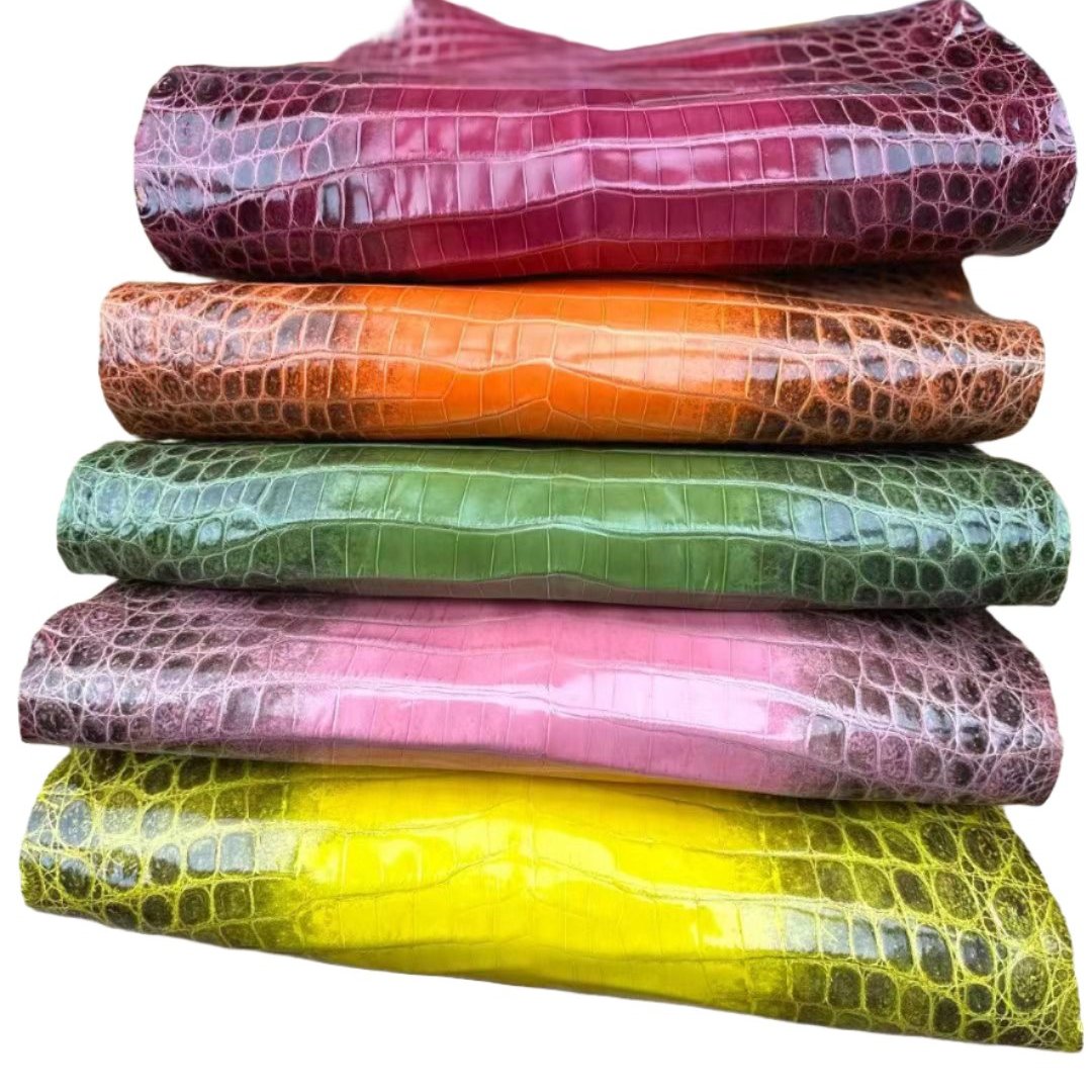 Colored Himalayan Nile Crocodile