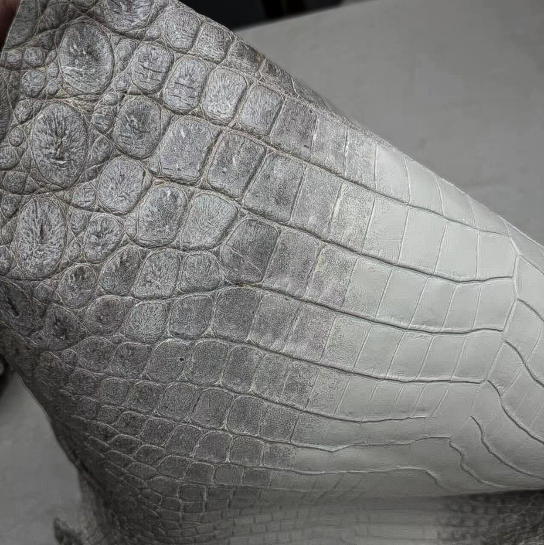 Himalayan (Matte) – Sunny Exotic Leathers
