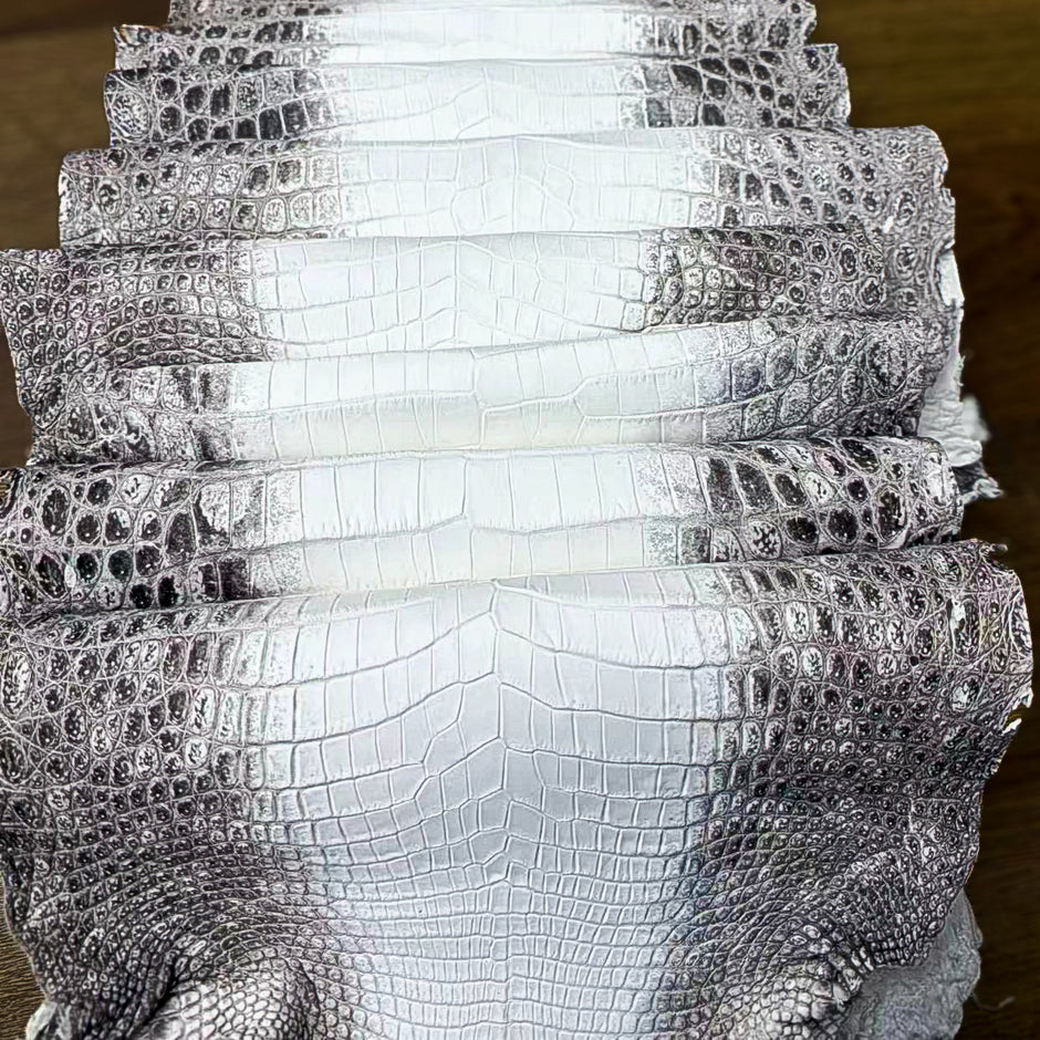 Alligator Skin: All You Need to Know – Sunny Exotic Leathers