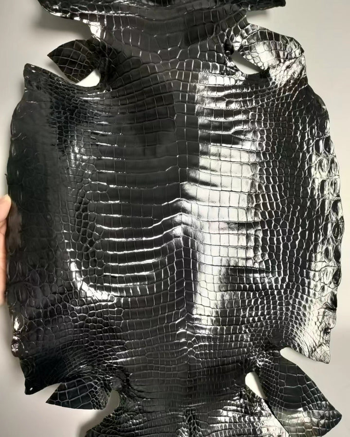 Alligator Skin: All You Need to Know – Sunny Exotic Leather Tannery