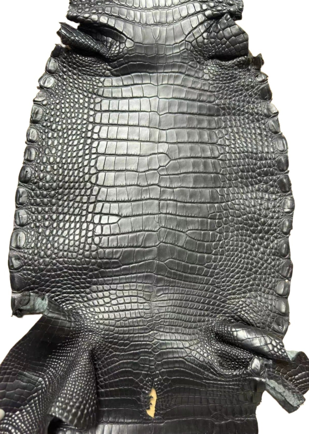 Black Gator Grade 1