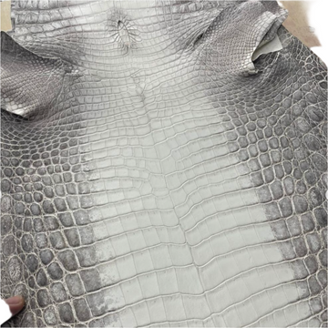 Sunny Exotic Leather Tannery - Luxury Crocodile, Python & Lizard Skins