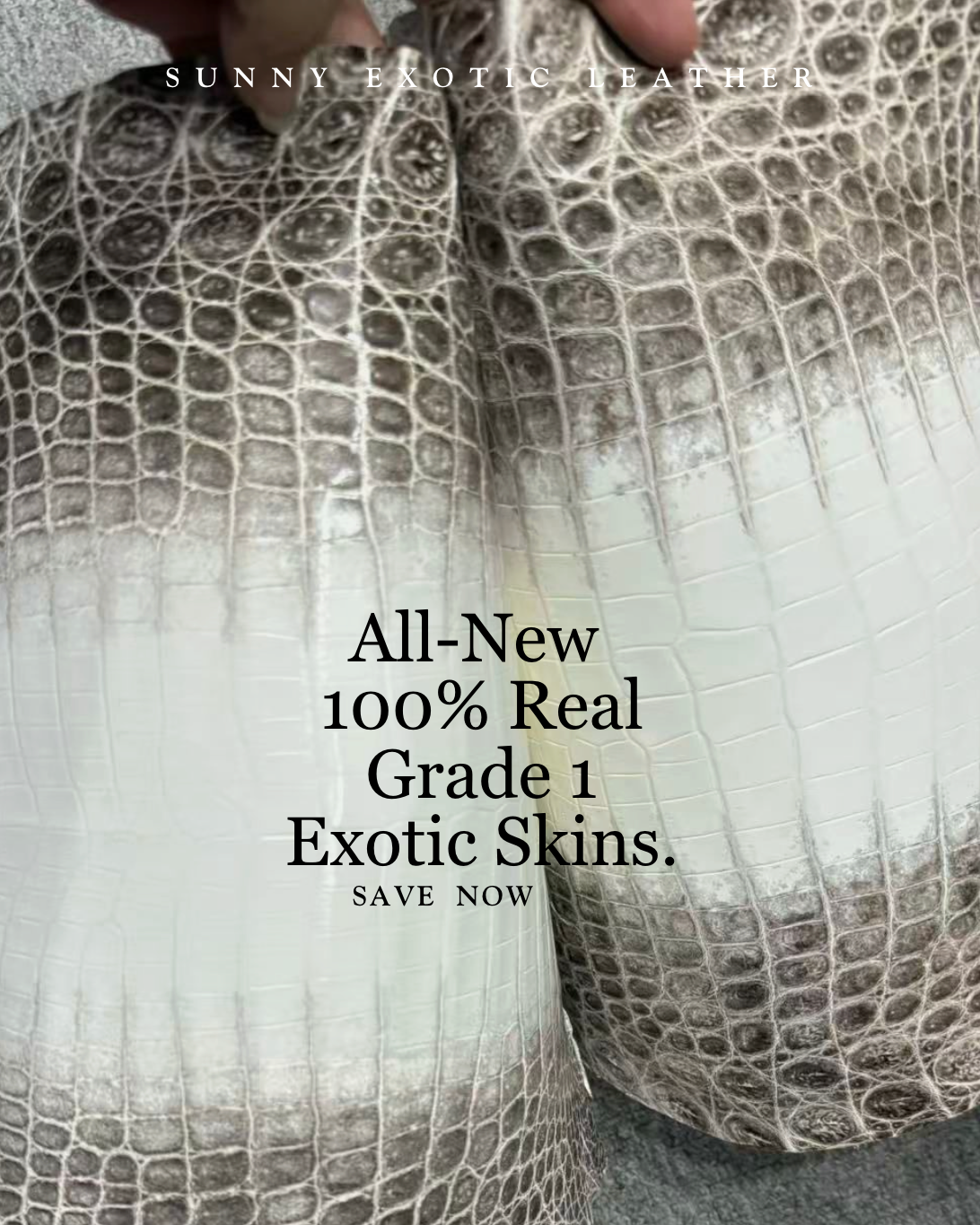 Sunny Exotic Leather Tannery - Luxury Crocodile, Python & Lizard Skins