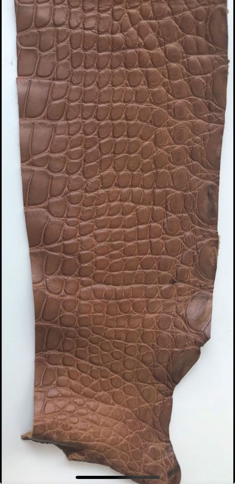 Exotic Leather Skins – Sunny Exotic Leathers