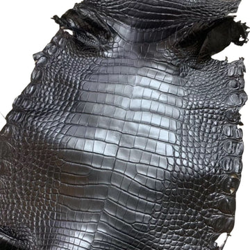 Sunny Exotic Leather Tannery - Luxury Crocodile, Python & Lizard Skins