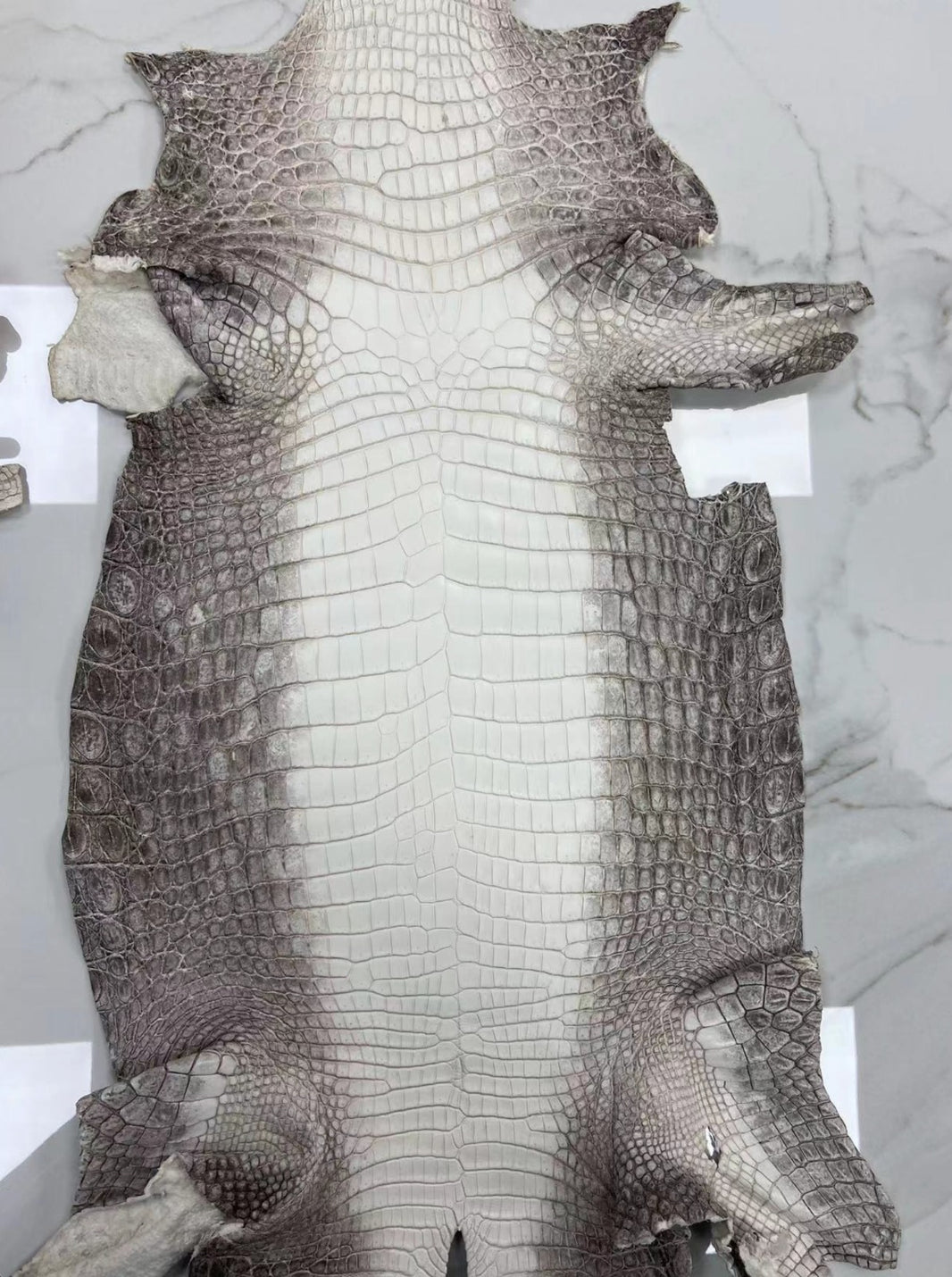 Sunny Exotic Leather Tannery - Luxury Crocodile, Python & Lizard Skins