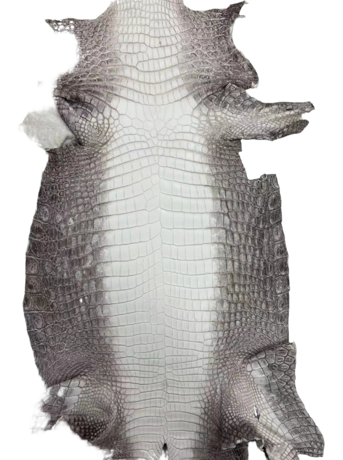 Himalayan Crocodile Exotic Leather Skins