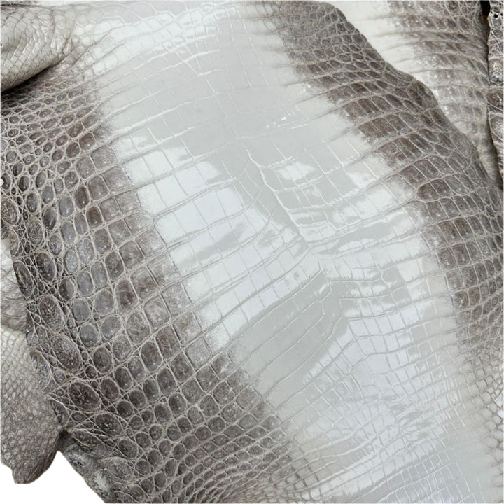 Sunny Exotic Leather Tannery - Luxury Crocodile, Python & Lizard Skins ...