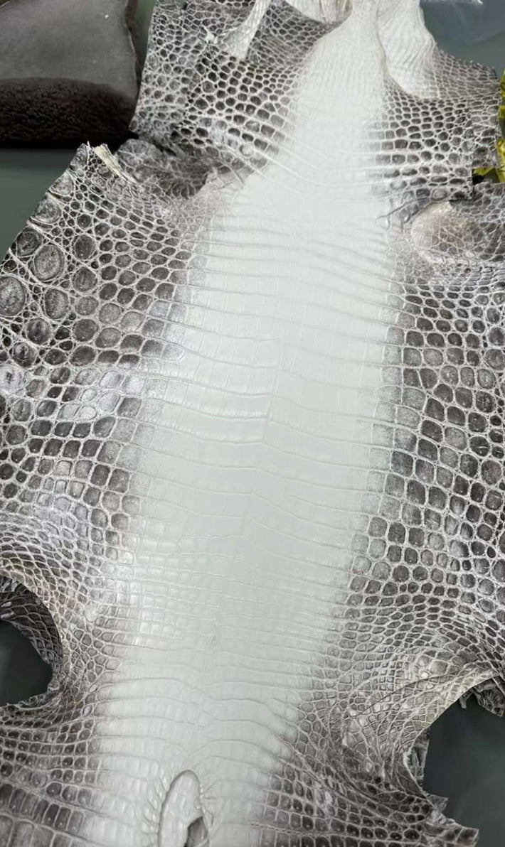 Sunny Exotic Leather Tannery - Luxury Crocodile, Python & Lizard Skins