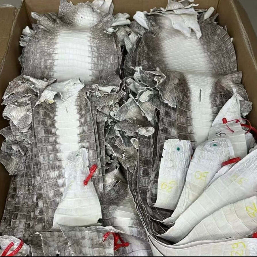 Himalayan Croc (Matte) – Sunny Exotic Leathers