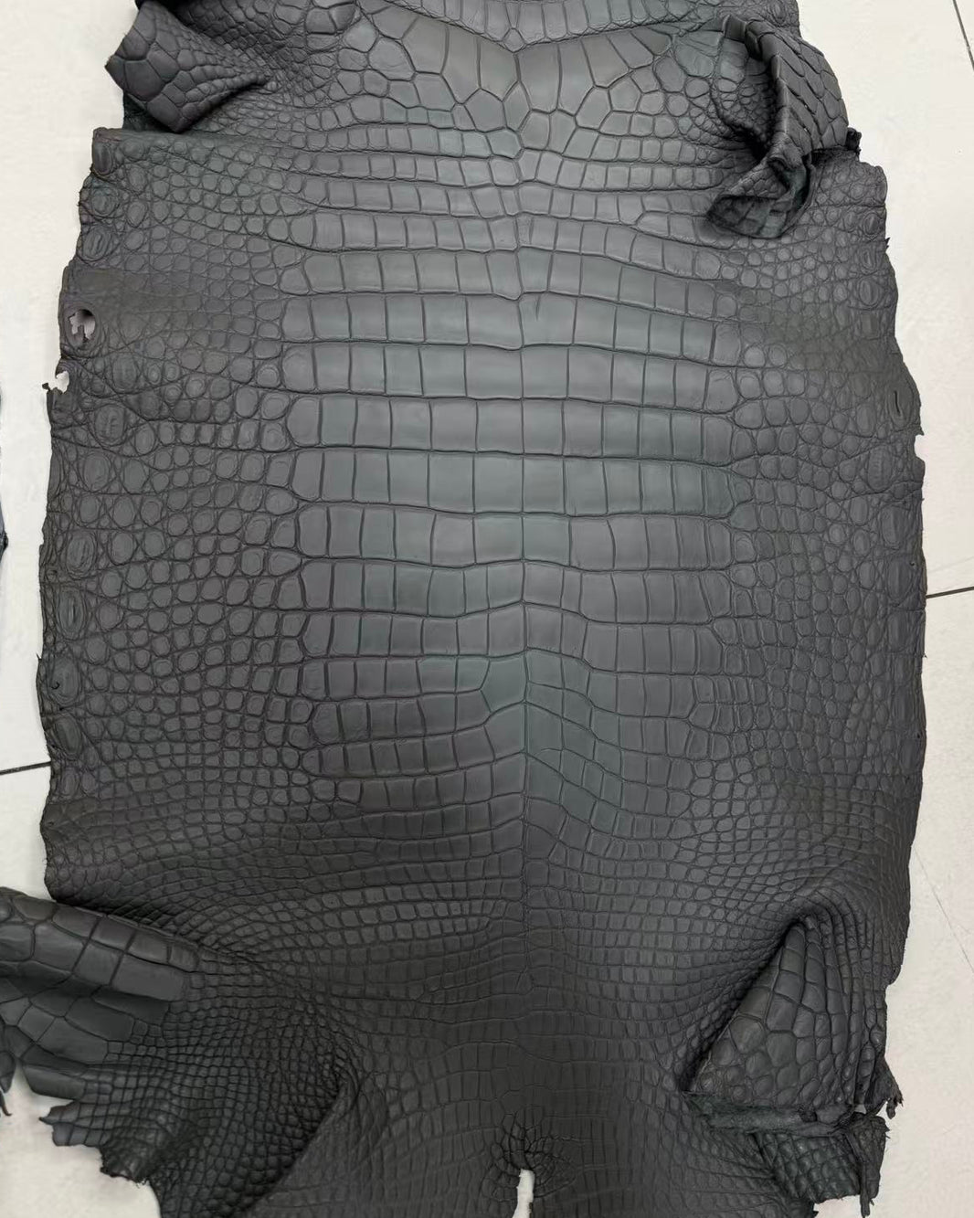 Sunny Exotic Leather Tannery - Luxury Crocodile, Python & Lizard Skins