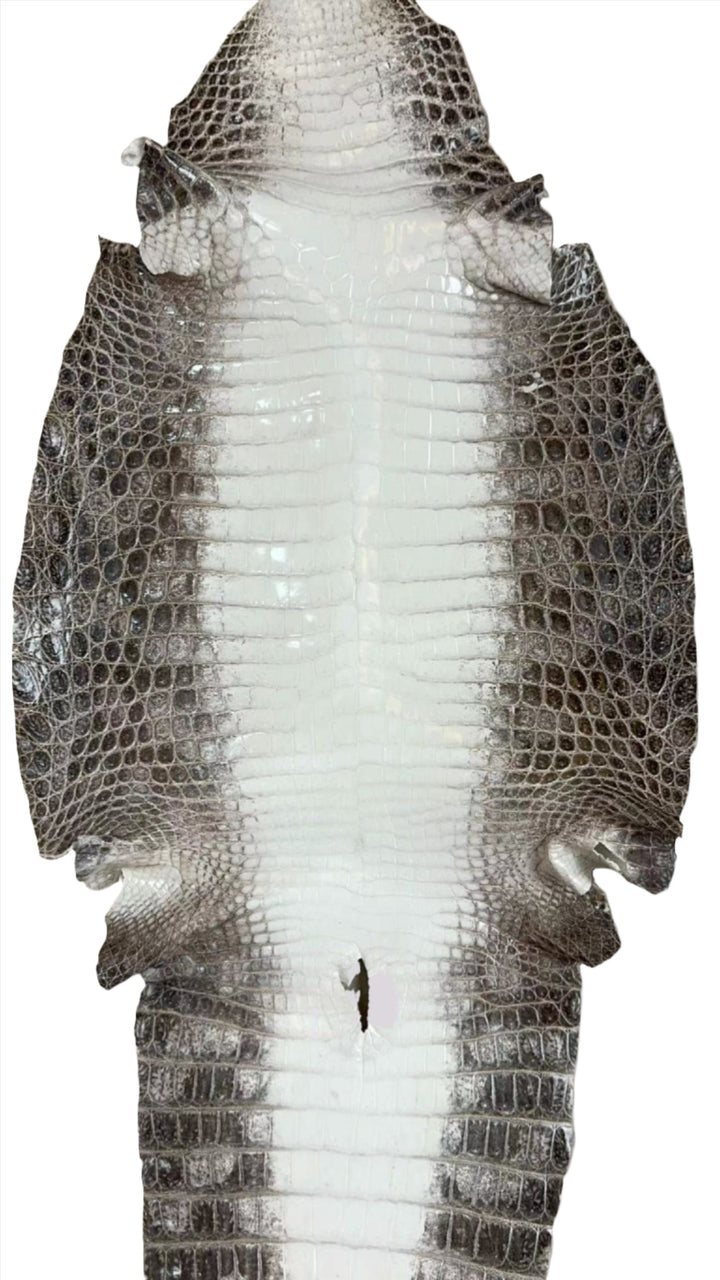 Sunny Exotic Leather Tannery - Luxury Crocodile, Python & Lizard Skins