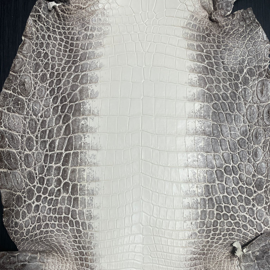 Sunny Exotic Leather Tannery - Luxury Crocodile, Python & Lizard Skins