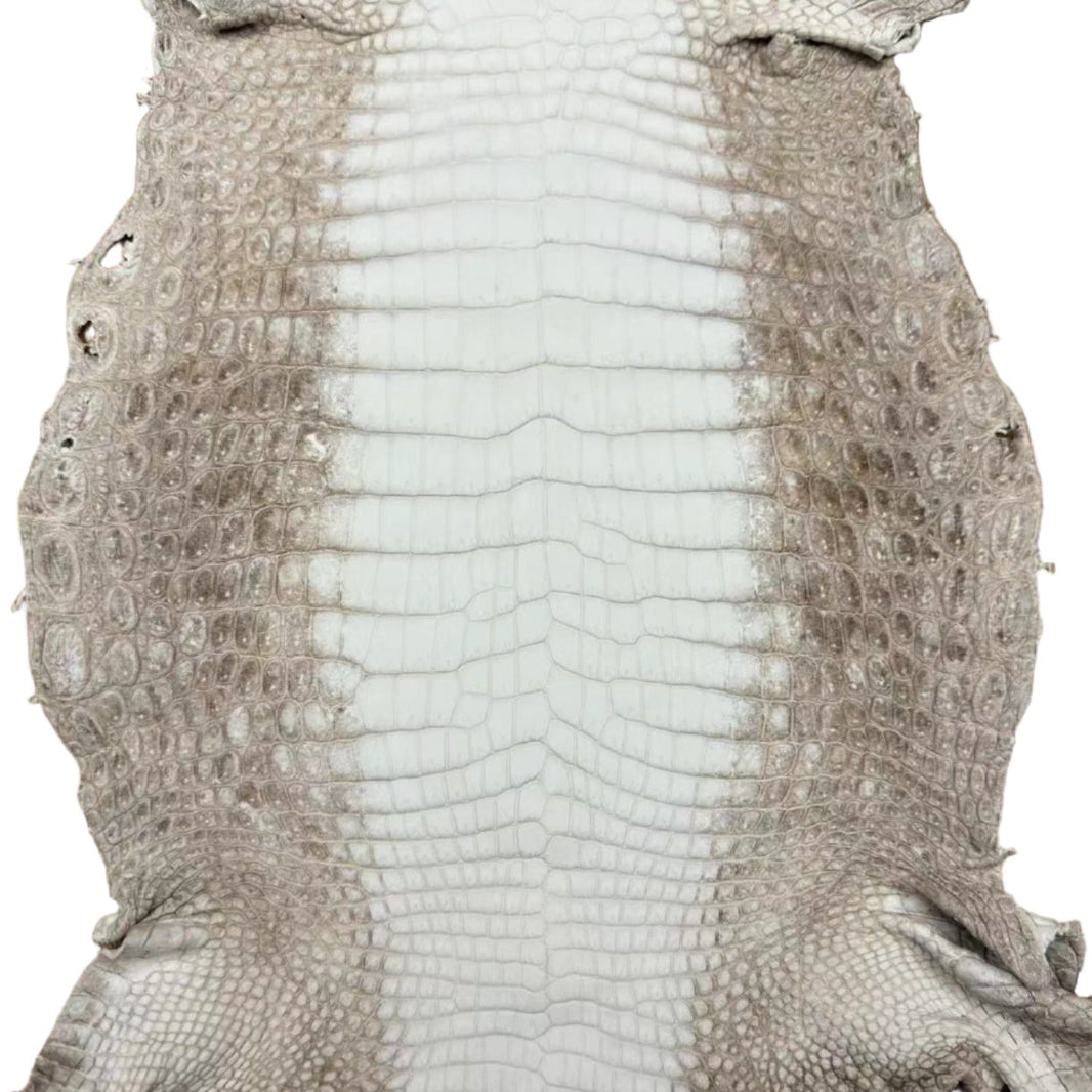 Himalayan Crocodile Exotic Leather Skins – Sunny Exotic Leathers