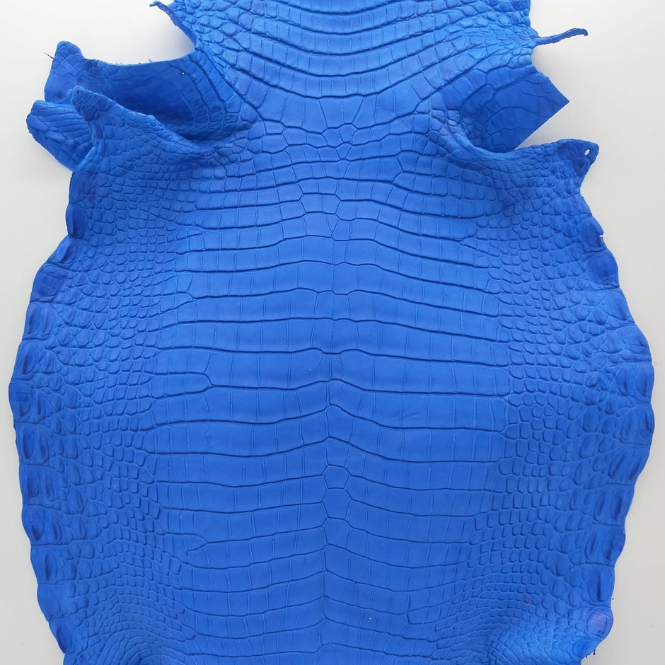 Alligator Skin: All You Need to Know – Sunny Exotic Leathers