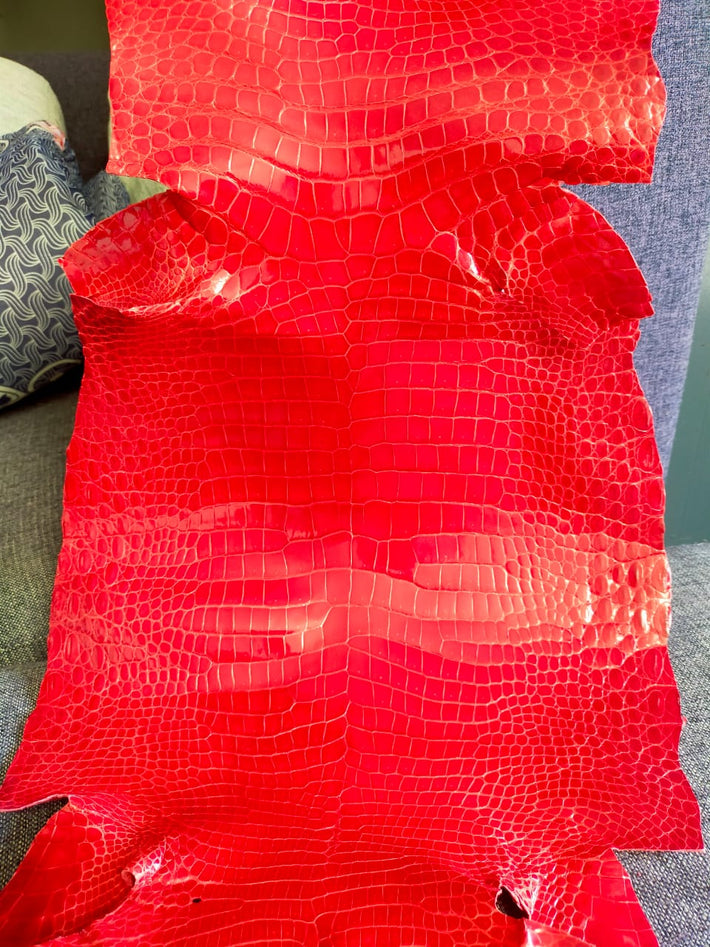 Sunny Exotic Leather Tannery - Luxury Crocodile, Python & Lizard Skins