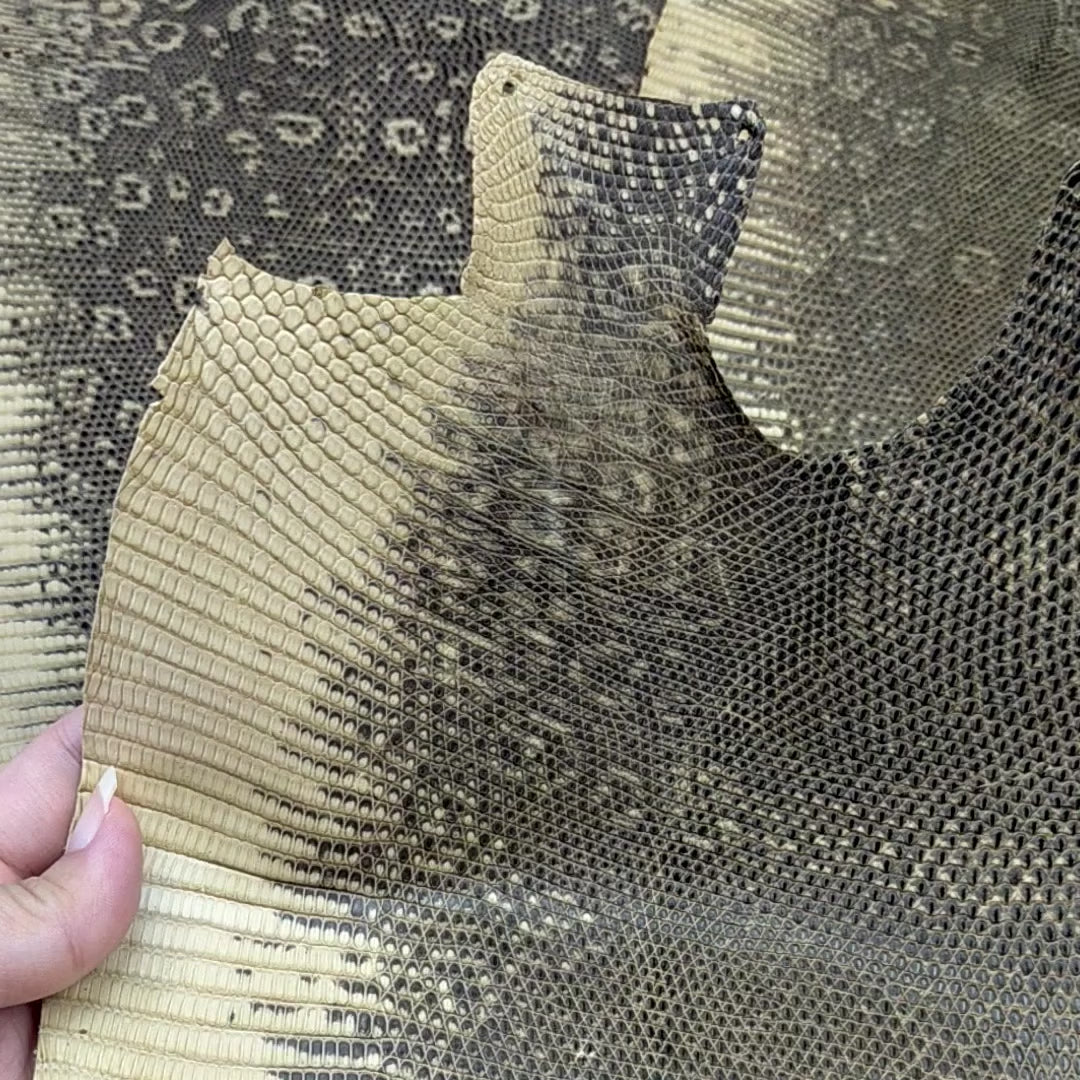 Natural Lizard Front Cut – Sunny Exotic Leathers